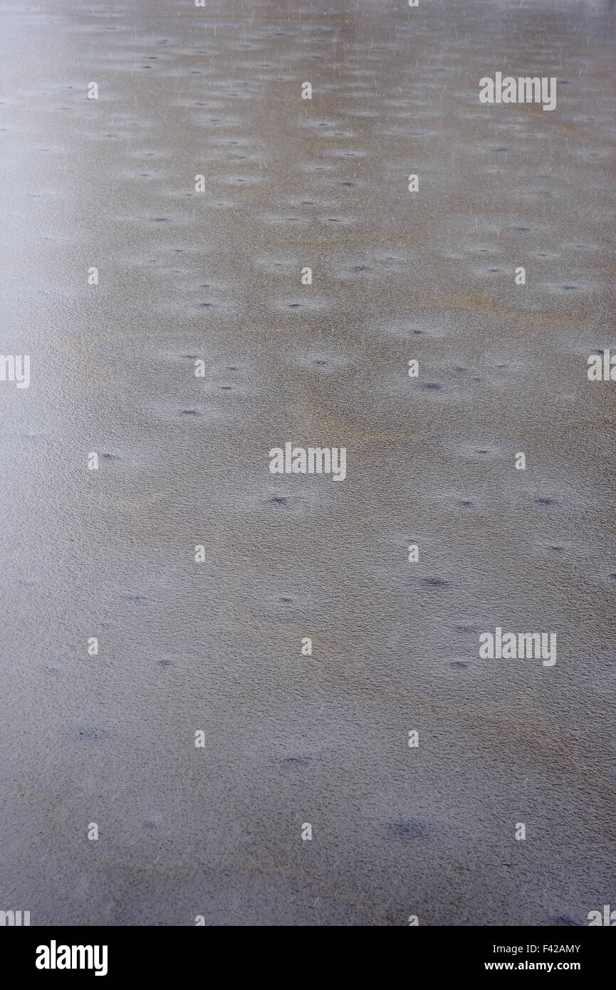 Close up background of the first thin ice crust in beginning of winter ...