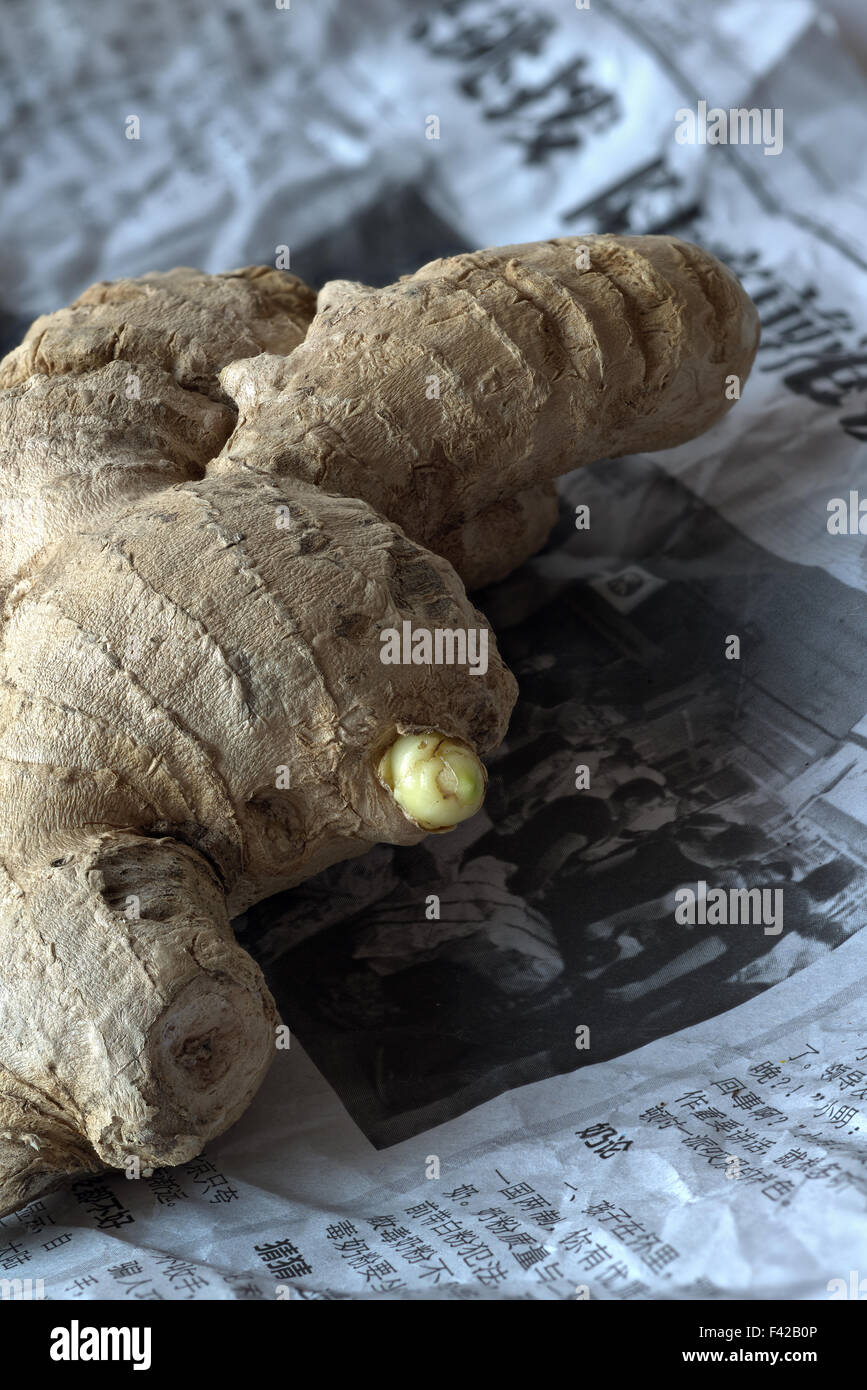 Vertical ginger hi-res stock photography and images - Alamy