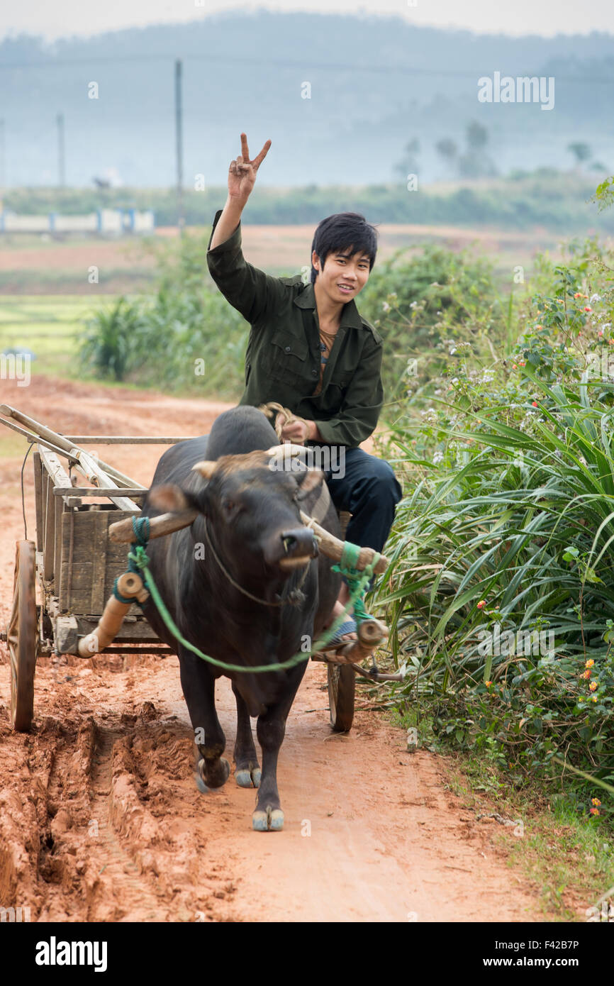 Man and water buffalo hi-res stock photography and images - Alamy