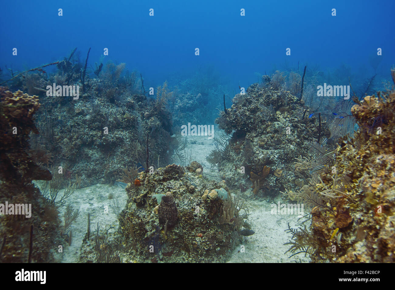 Bahamian water hi-res stock photography and images - Alamy