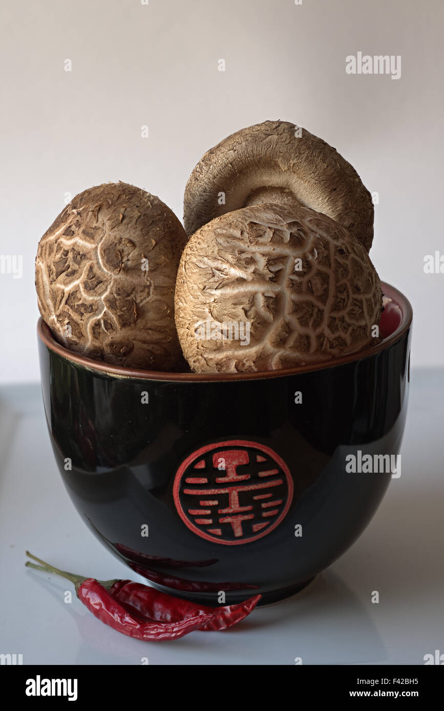 Shitake mushrooms china hi-res stock photography and images - Alamy