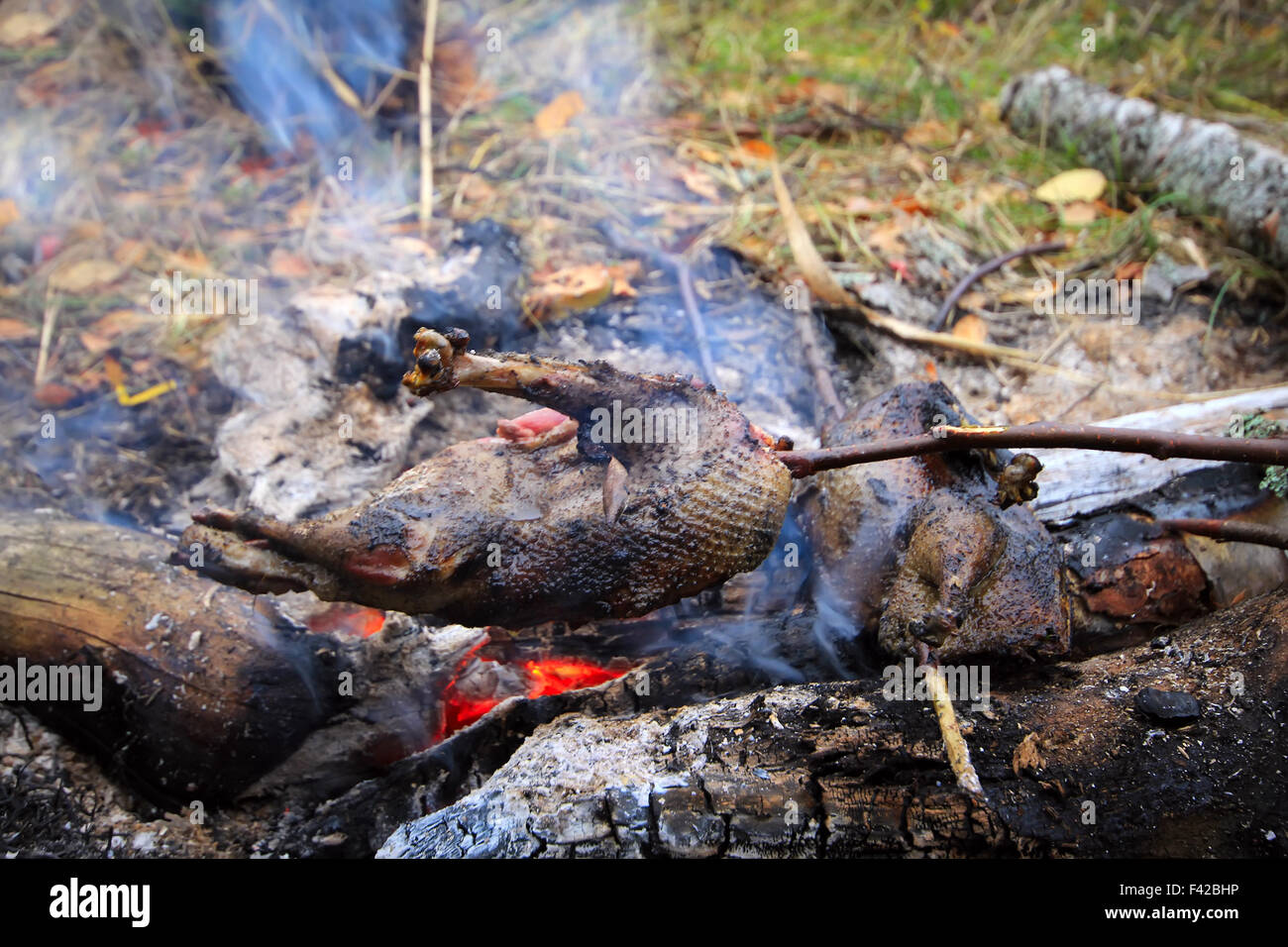 Food on spit roast hi-res stock photography and images - Alamy