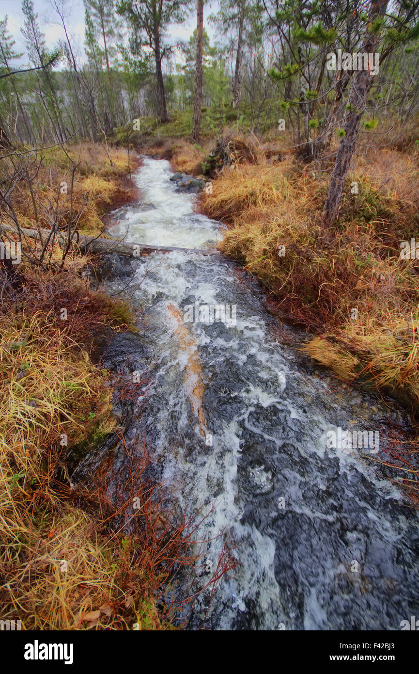 Tundra o taiga hi-res stock photography and images - Alamy
