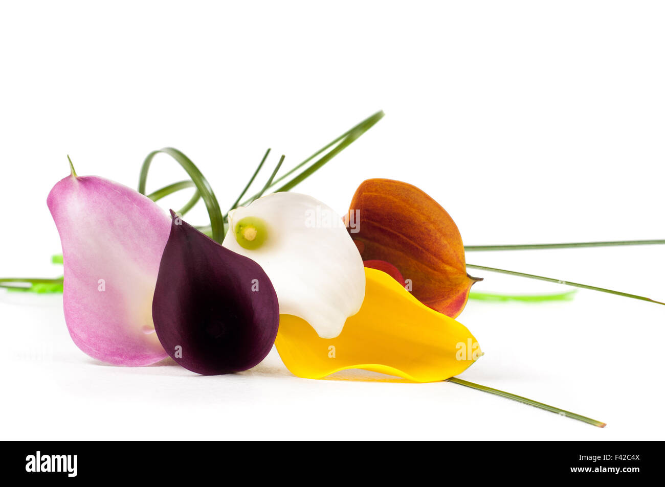 Beautiful orange red purple Cut Out Stock Images & Pictures - Alamy