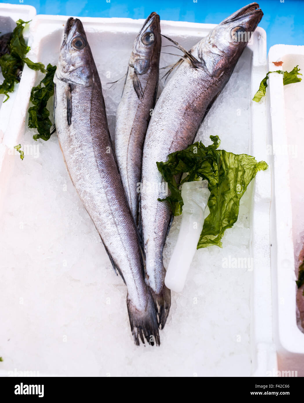 Silver cod hi-res stock photography and images - Alamy