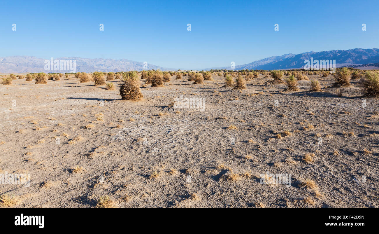 Death Valley Desert Stock Photo - Alamy