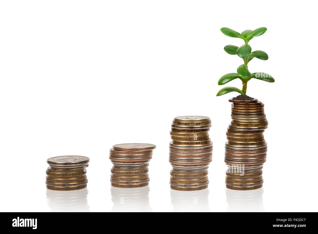 Money tree isolated hi-res stock photography and images - Alamy