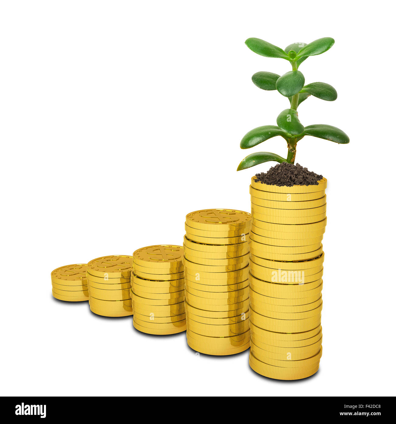 Golden coins with money tree, close up view Stock Photo - Alamy
