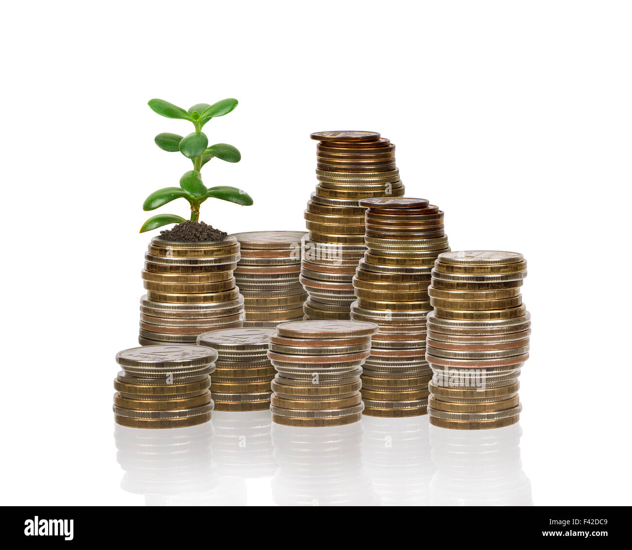 Stack of coins with money tree Stock Photo - Alamy