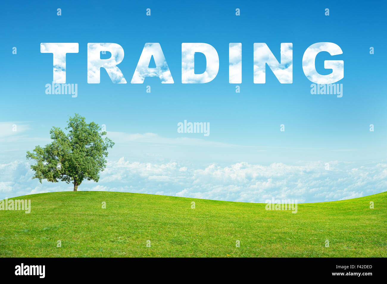 Landscape trading word hi-res stock photography and images - Alamy