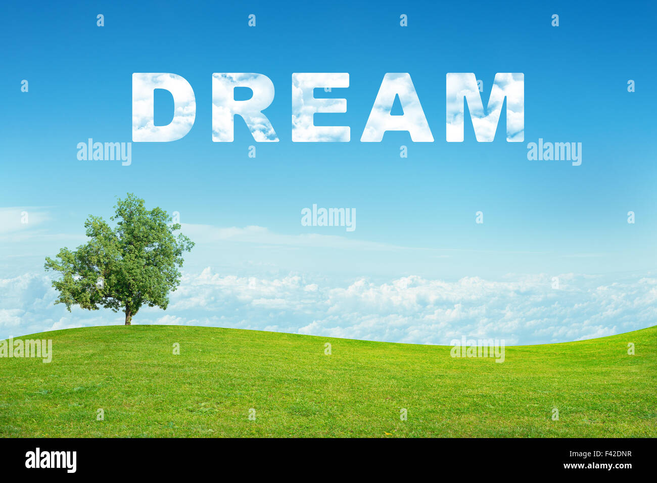 Landscape with dream word Stock Photo - Alamy