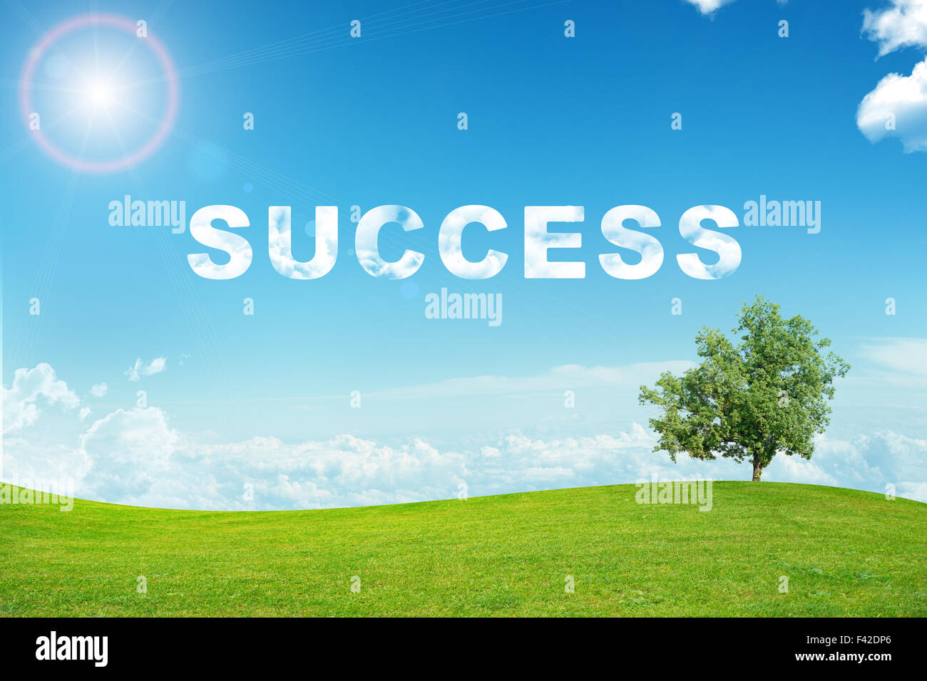 Landscape with success word Stock Photo - Alamy