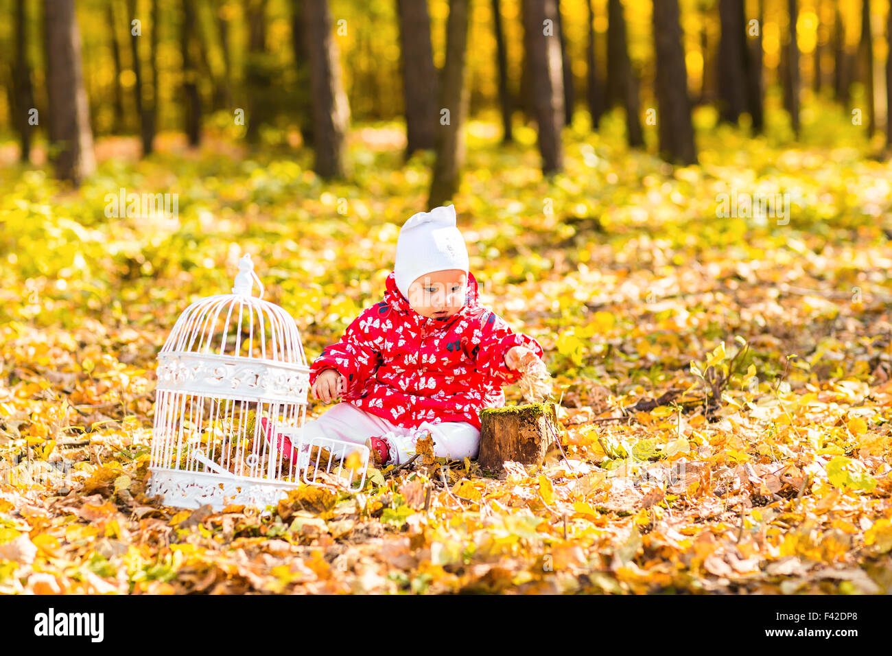 Cute baby girl in the autumn forest Stock Photo - Alamy