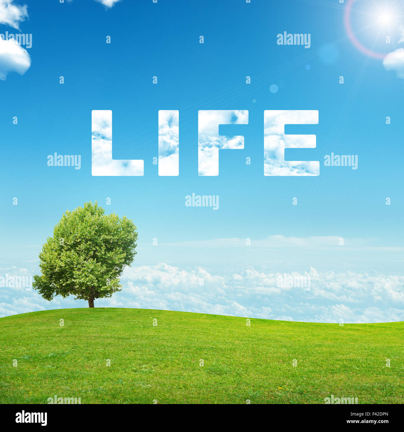 Life word hi-res stock photography and images - Alamy