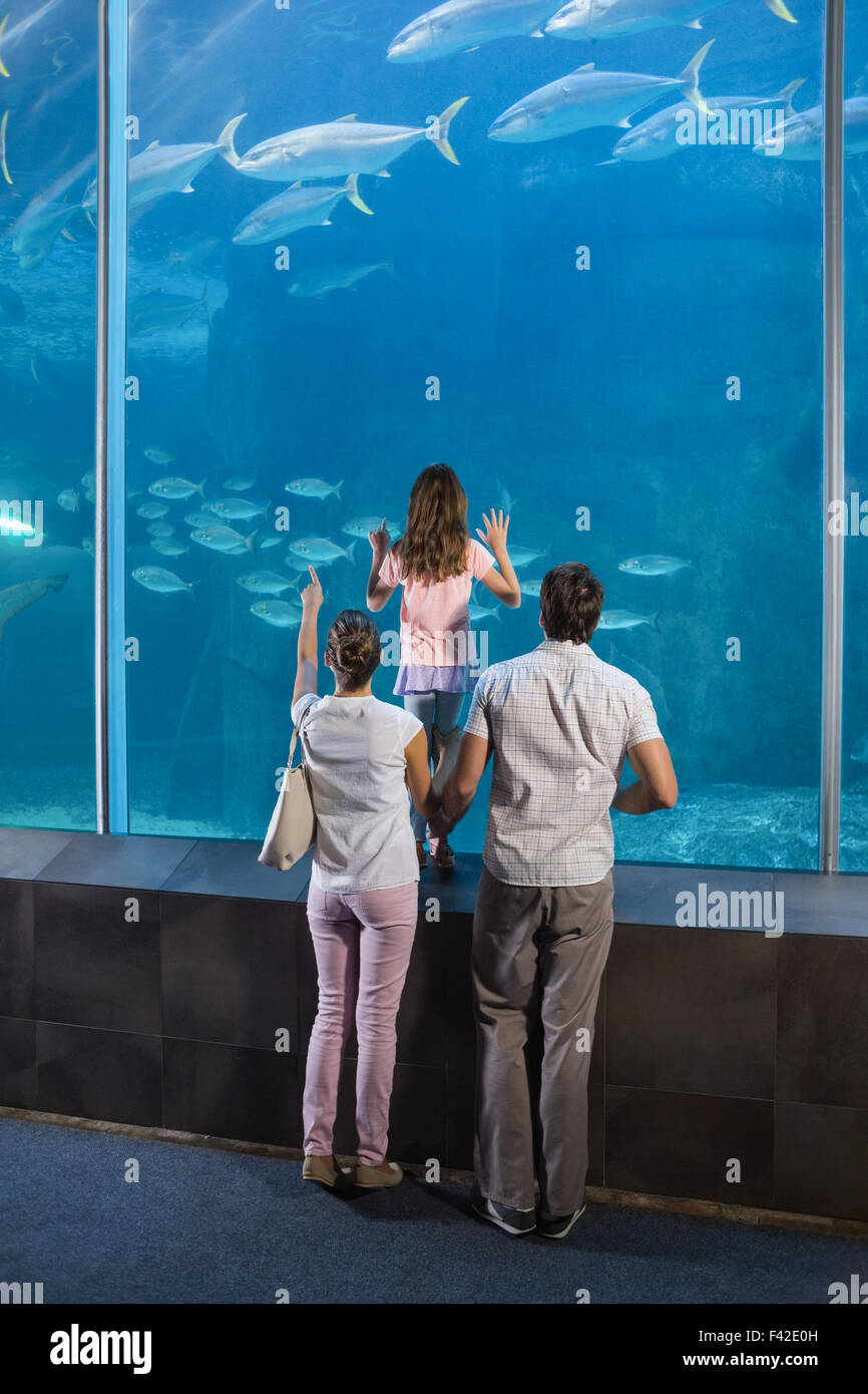 Happy family looking at fish tank Stock Photo - Alamy