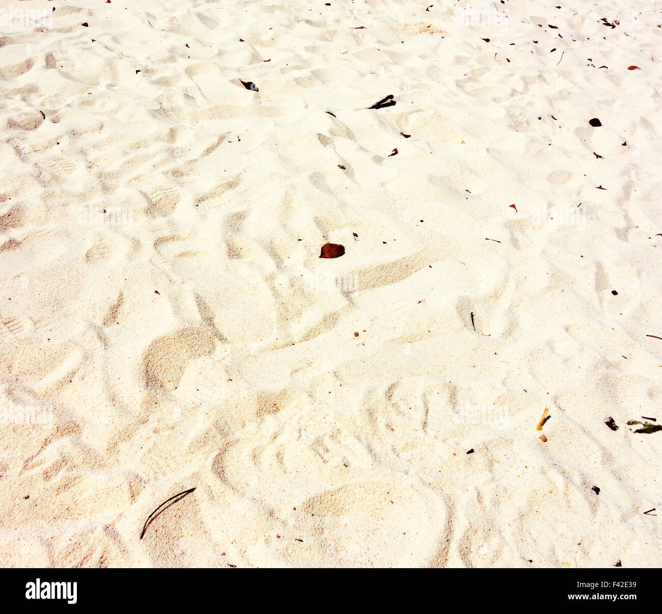 Natural sand texture yellow hi-res stock photography and images - Alamy