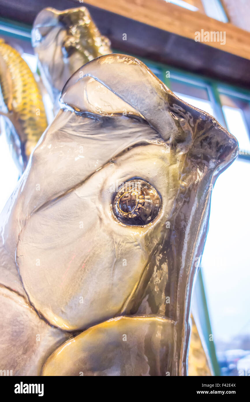 fish head statue on display Stock Photo - Alamy