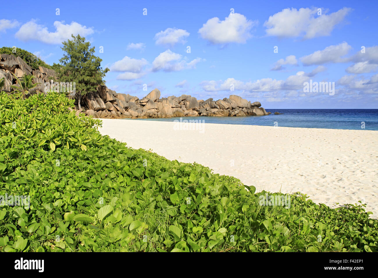Beautiful beach grande anse hi-res stock photography and images - Alamy