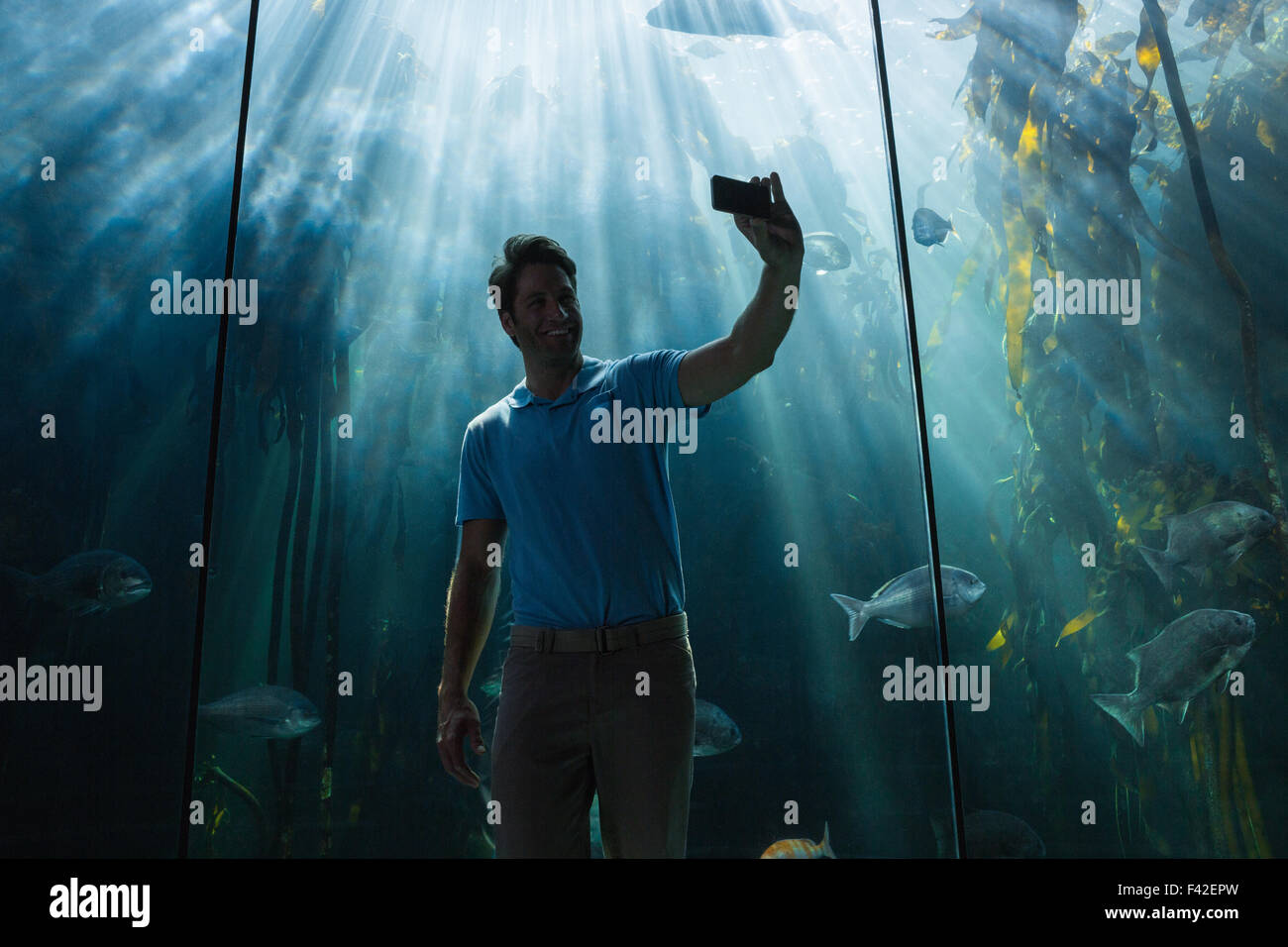 Man looking at fish tank Stock Photo - Alamy