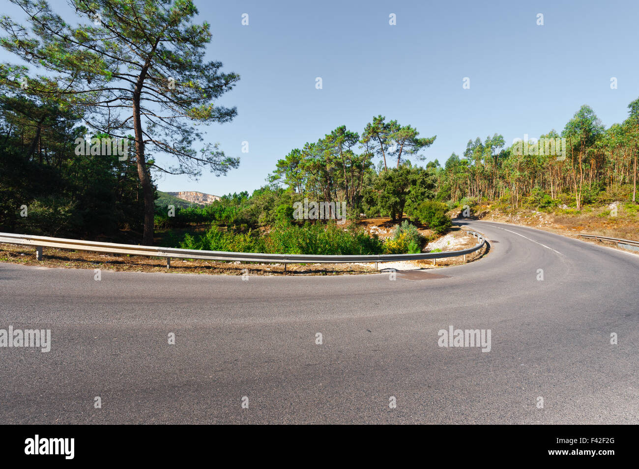 Forest Road Stock Photo - Alamy