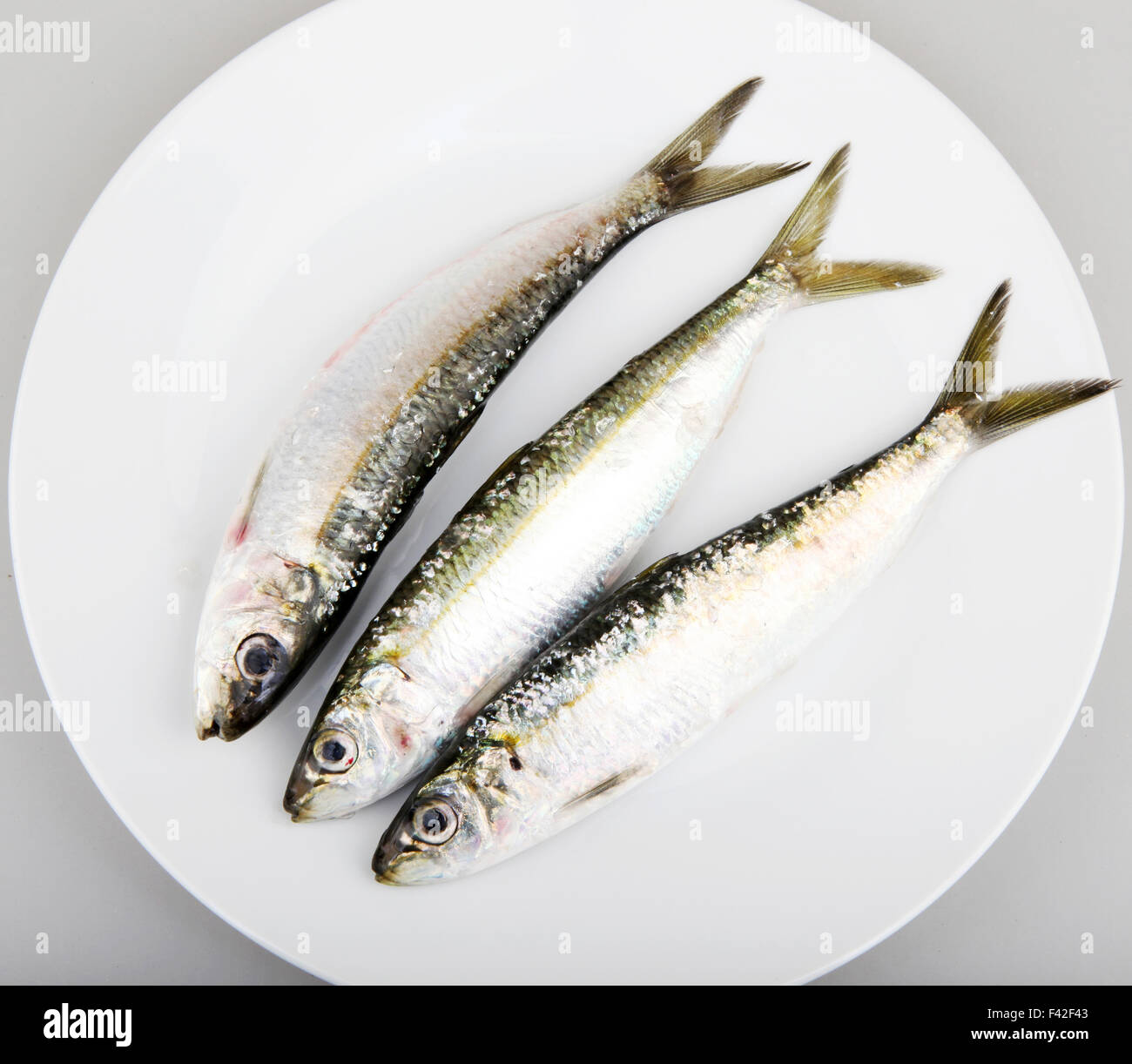 Sardines raw restaurant hi-res stock photography and images - Alamy