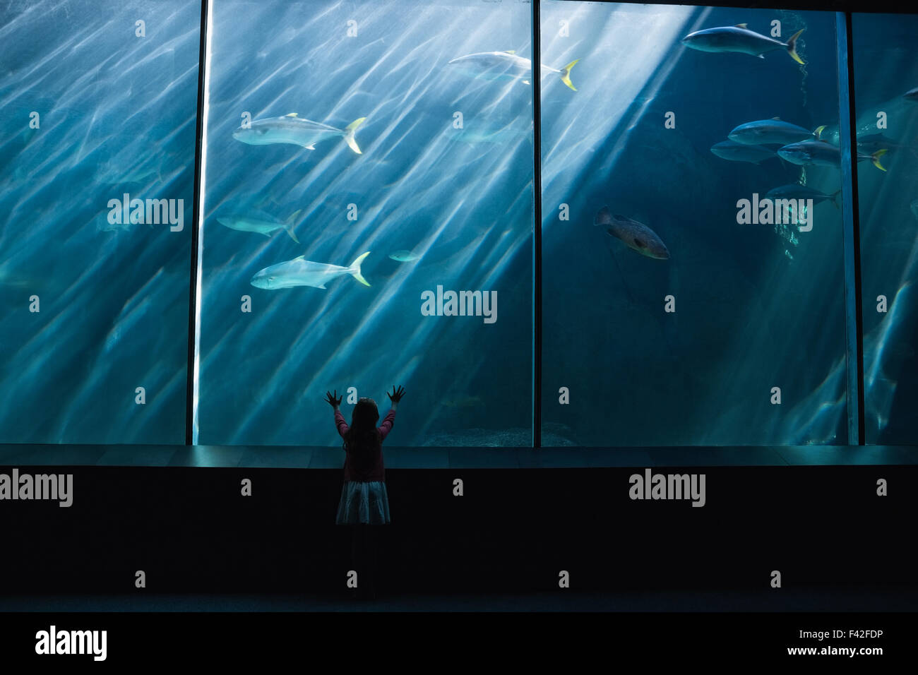 Girl Underwater Looking Up High Resolution Stock Photography and Images ...