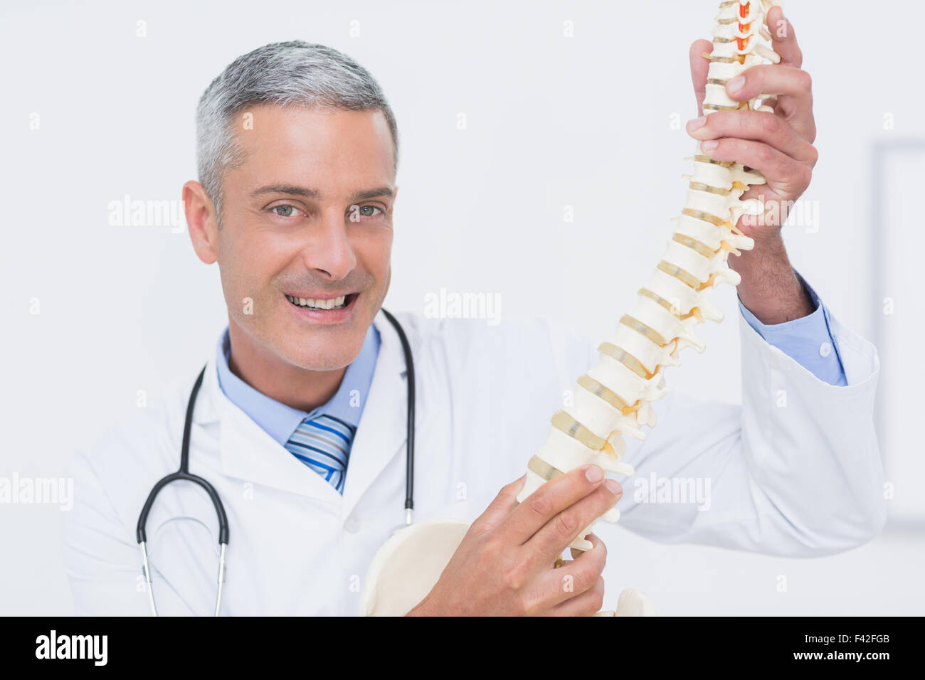 Smiling doctor showing anatomical spine Stock Photo - Alamy