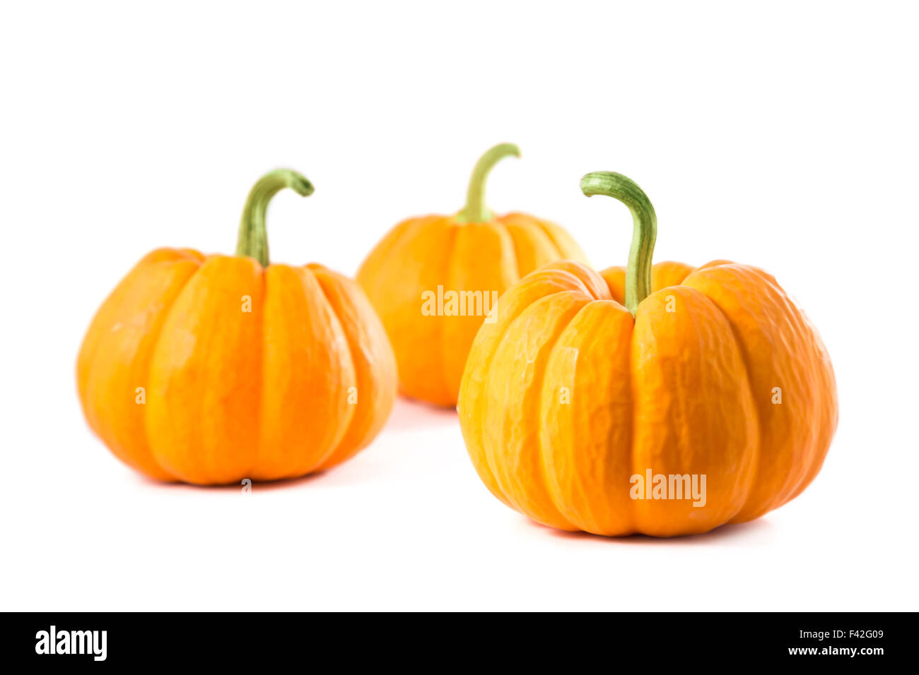 Small decorative pumpkins, isolated on white background Stock Photo - Alamy