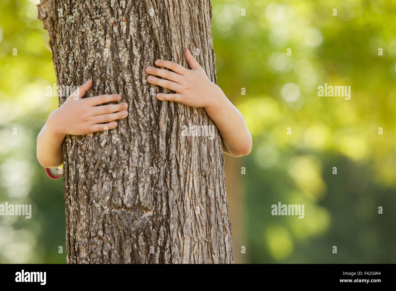 Little boy in the park hugging tree Stock Photo - Alamy