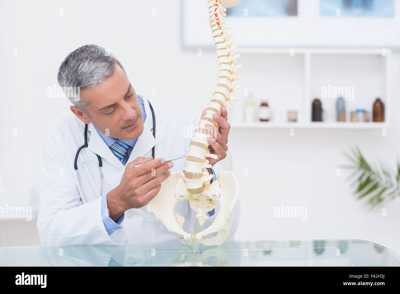 Doctor with anatomical spine Stock Photo - Alamy