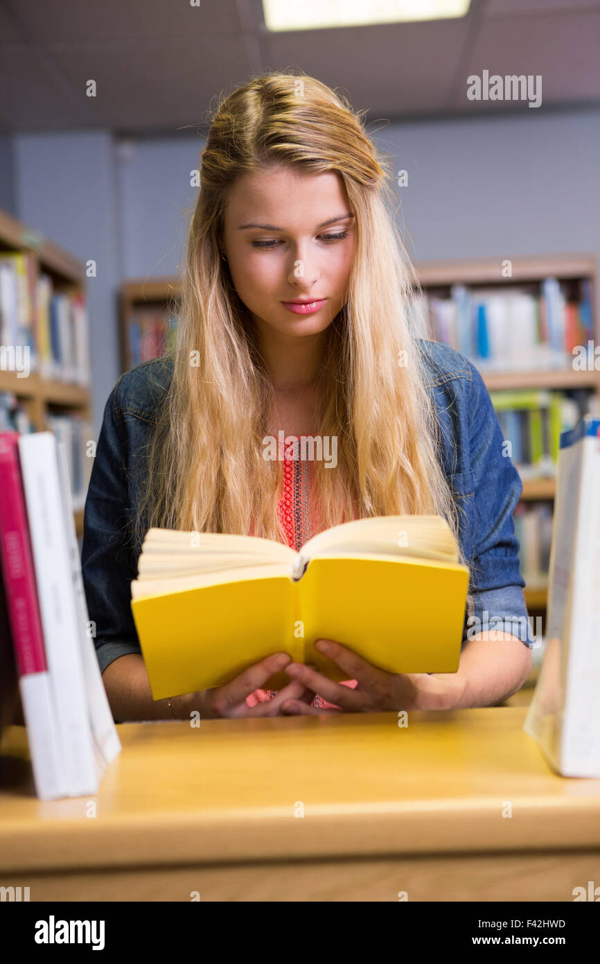 Pretty student studying in the library Stock Photo - Alamy