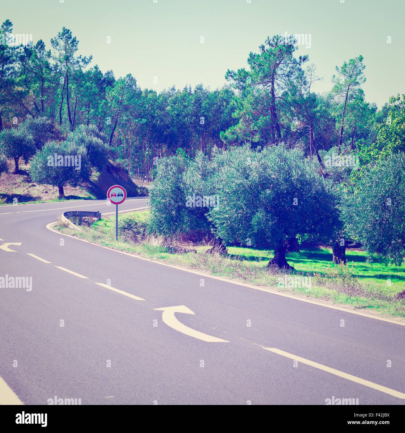 Forest Road Stock Photo - Alamy