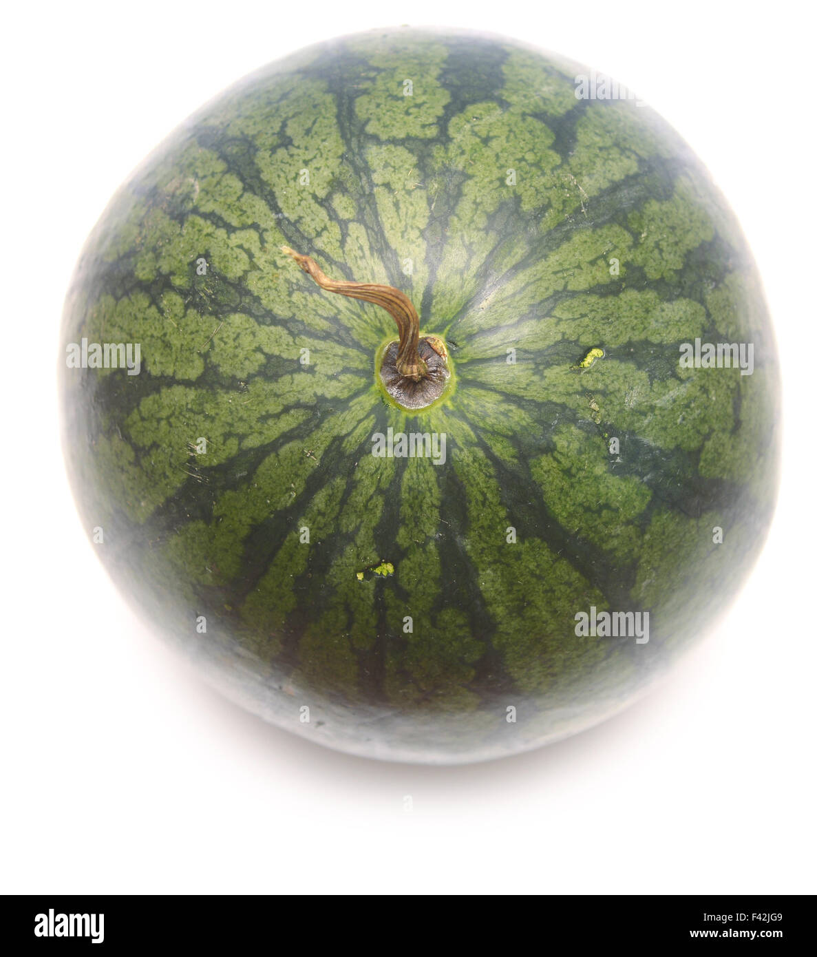 Whole watermelon Cut Out Stock Images & Pictures - Alamy