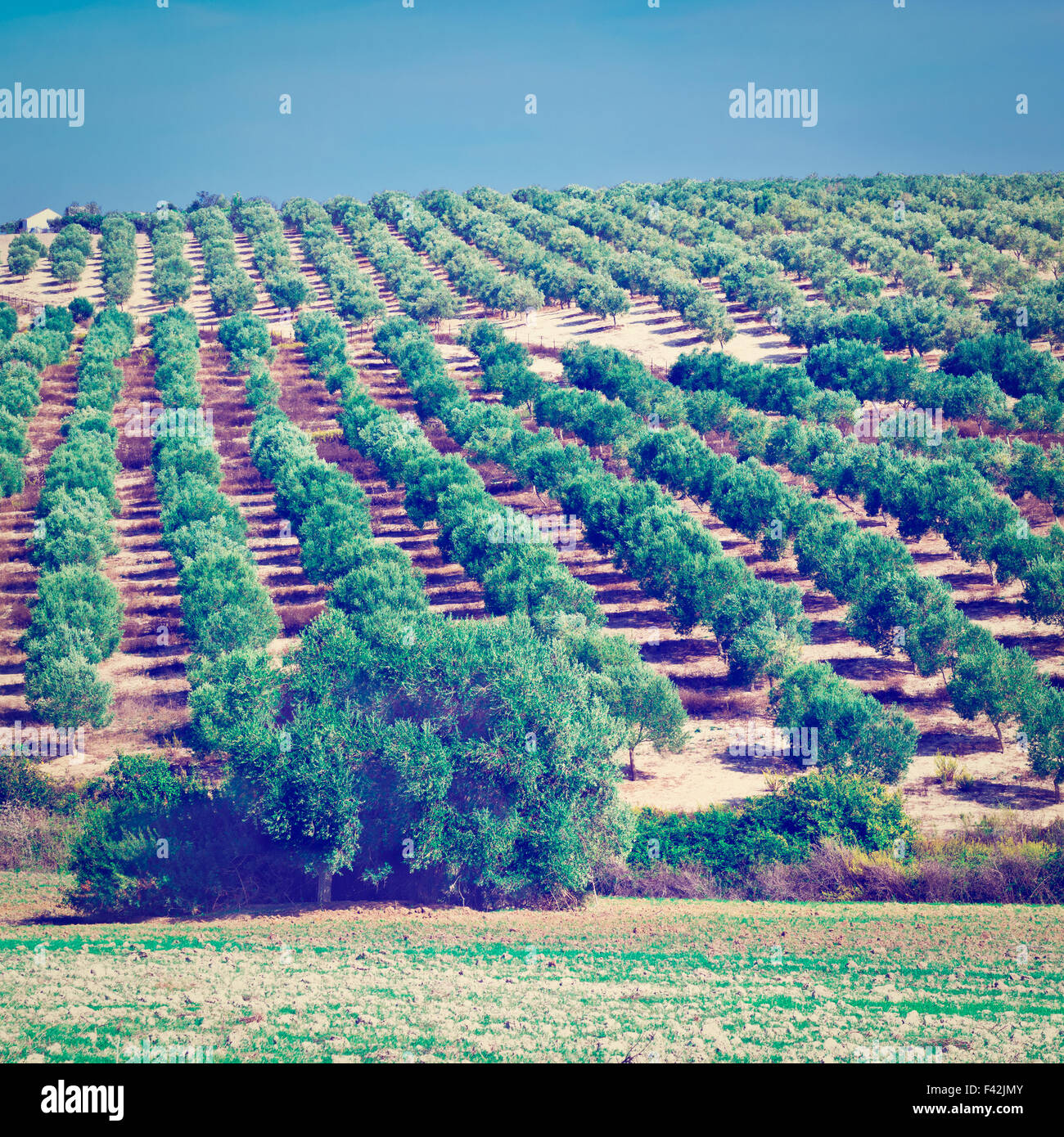Sloping arable land hi-res stock photography and images - Alamy