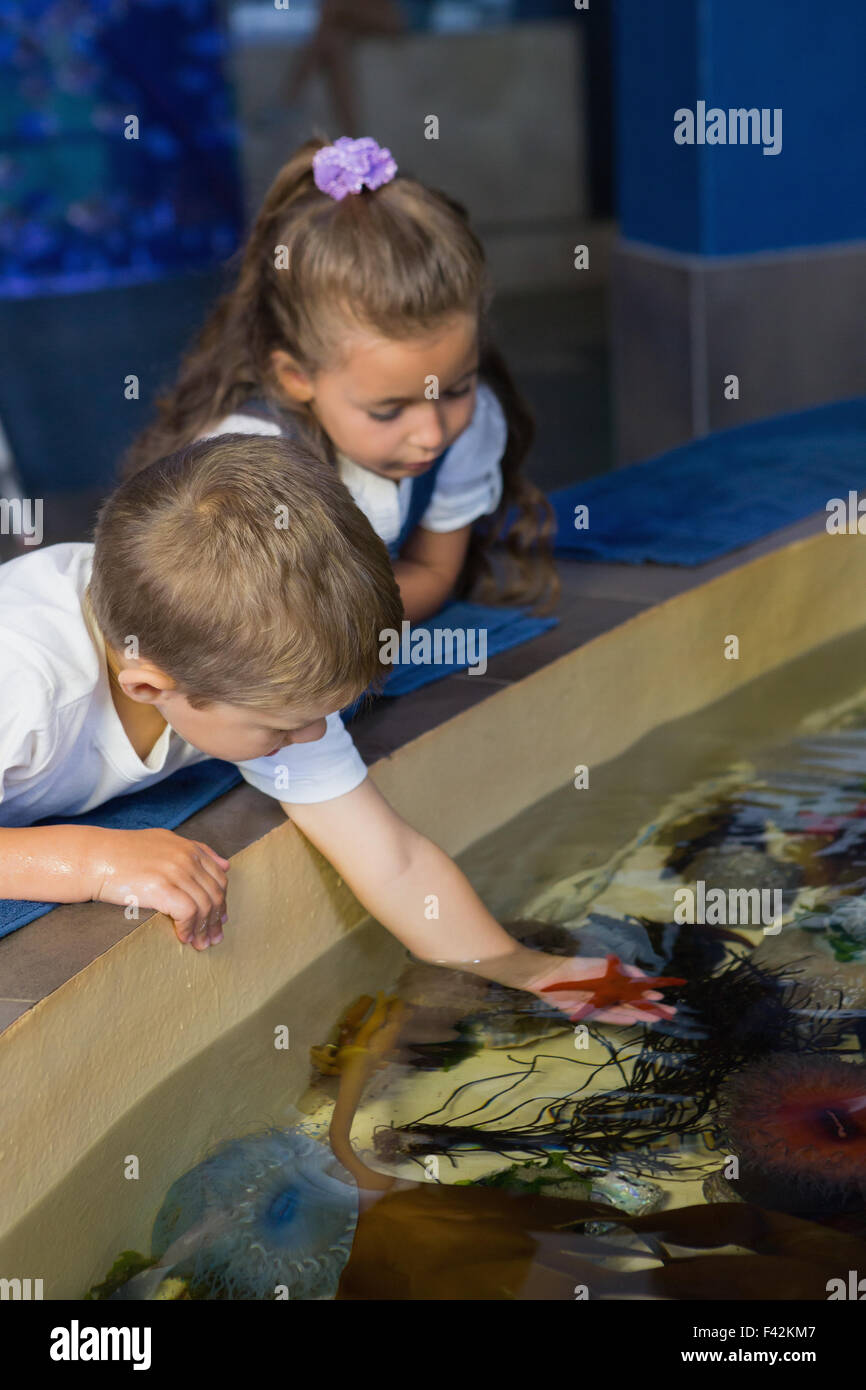 Child watching fish tank hi-res stock photography and images - Alamy