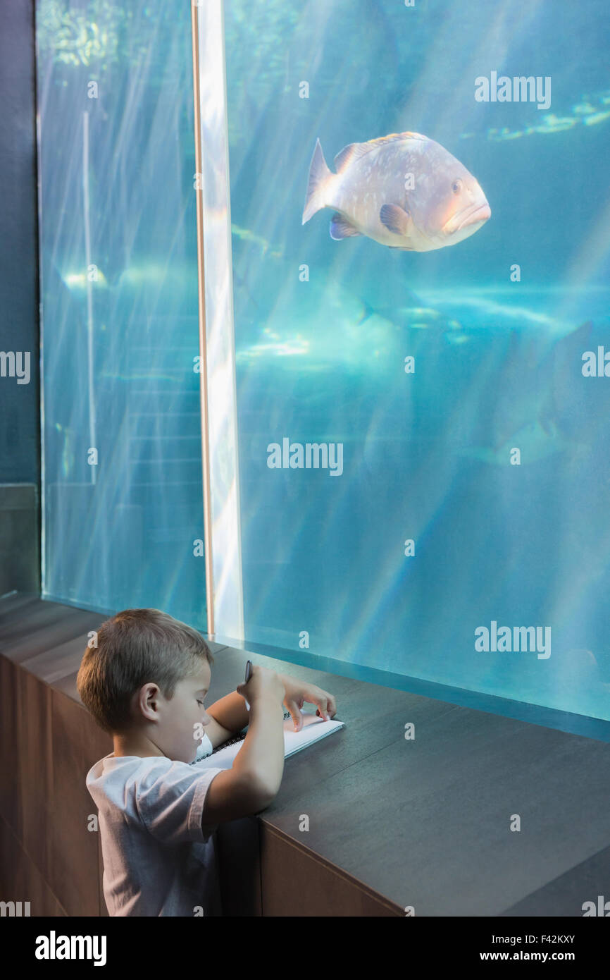 Boy fish tank hi-res stock photography and images - Alamy