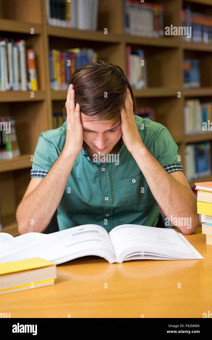 Student sitting in library reading Stock Photo - Alamy
