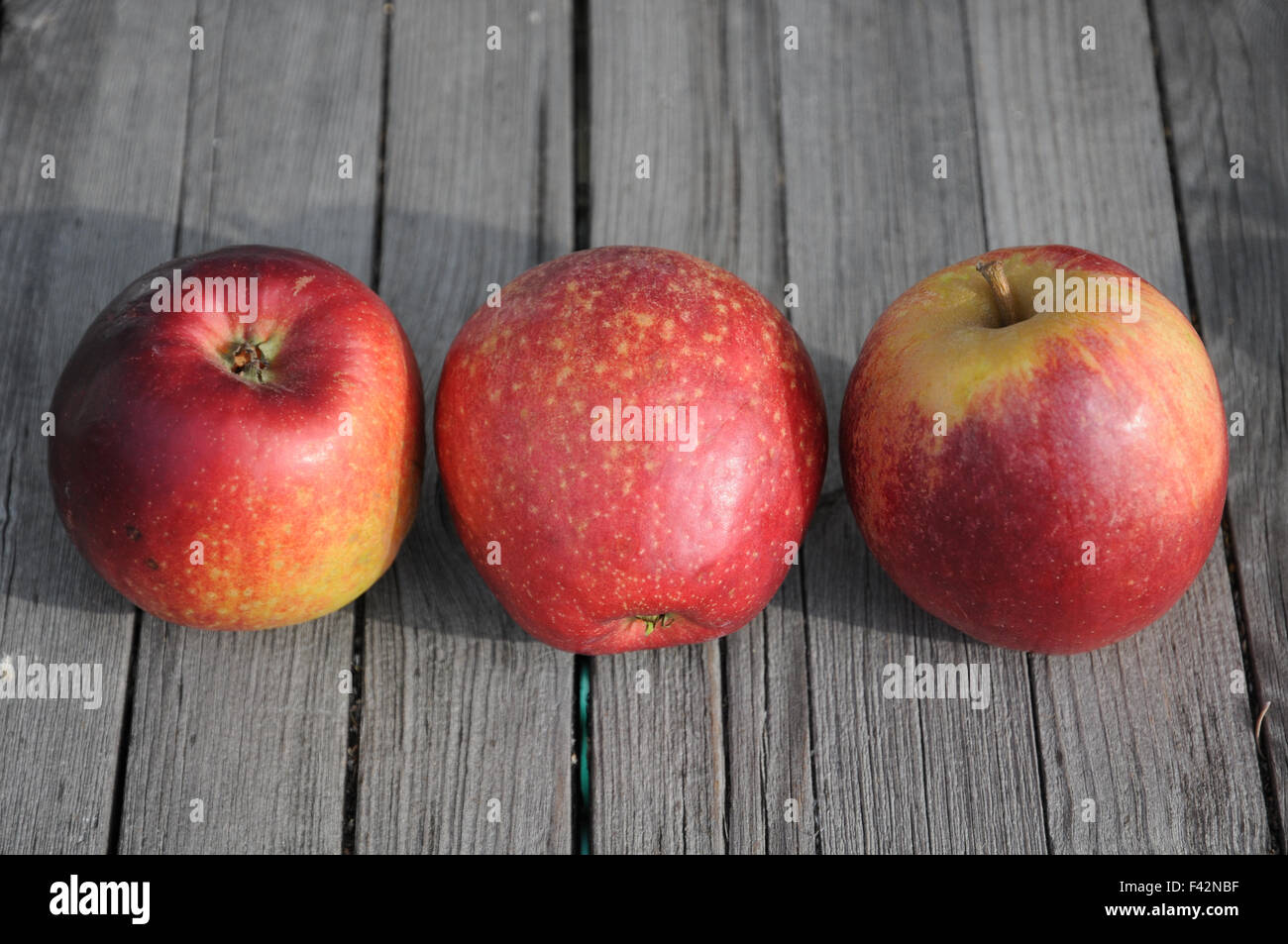 Modi apple hi-res stock photography and images - Alamy