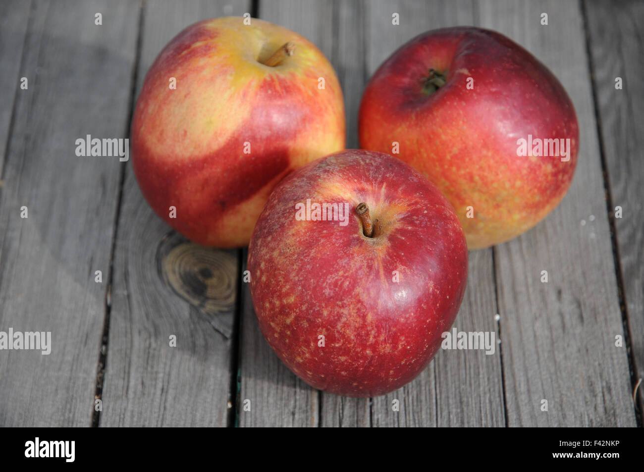 Modi apple hi-res stock photography and images - Alamy