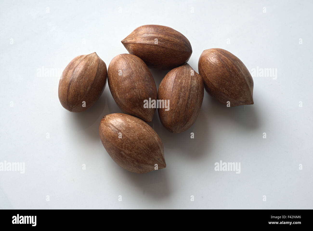 Pecans cut out hi-res stock photography and images - Alamy
