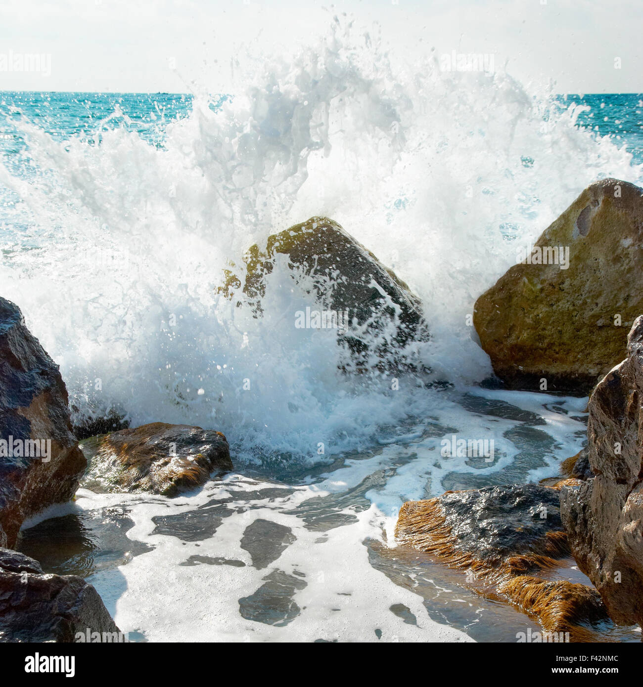 Stones at the seaside Stock Photo - Alamy