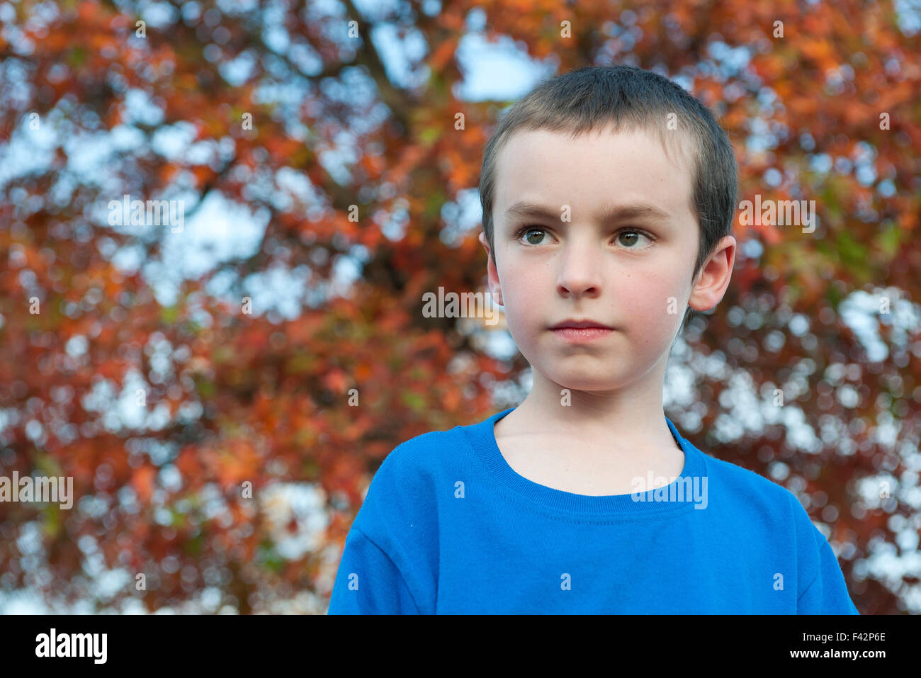 Boy contemplating outdoors, portrait Stock Photo - Alamy