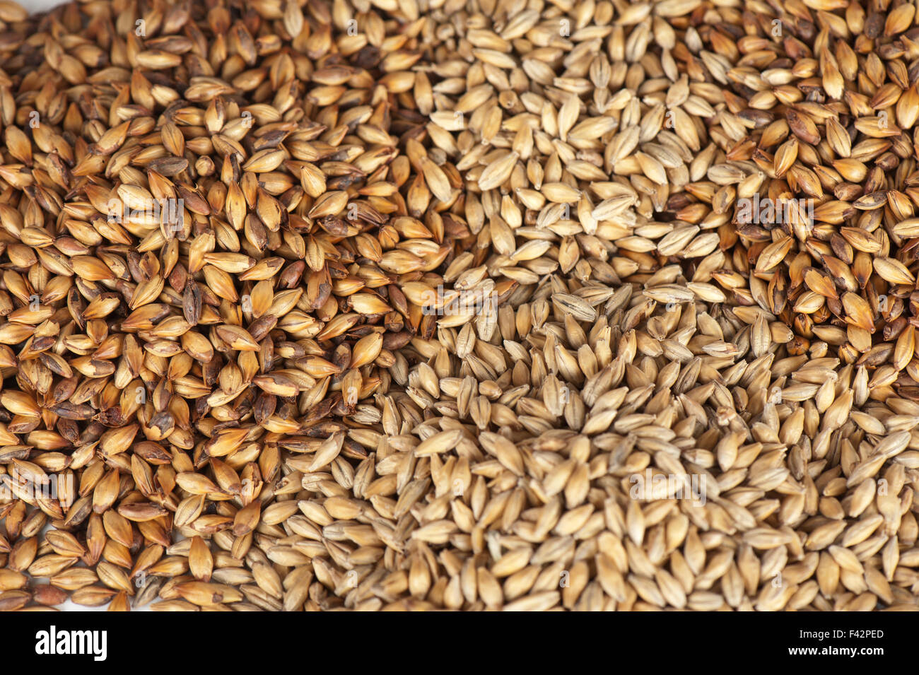 Sack of malt hi-res stock photography and images - Alamy