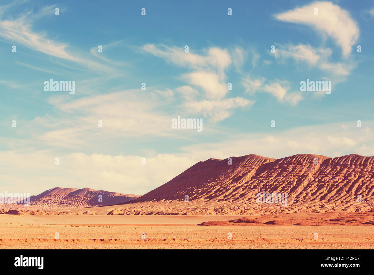 Puna Desert High Resolution Stock Photography and Images - Alamy