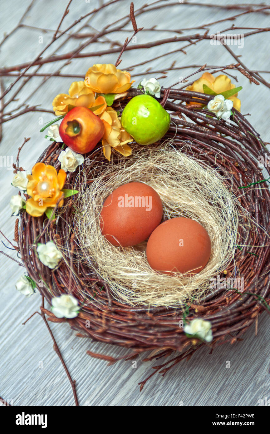 eggs in nest Stock Photo - Alamy