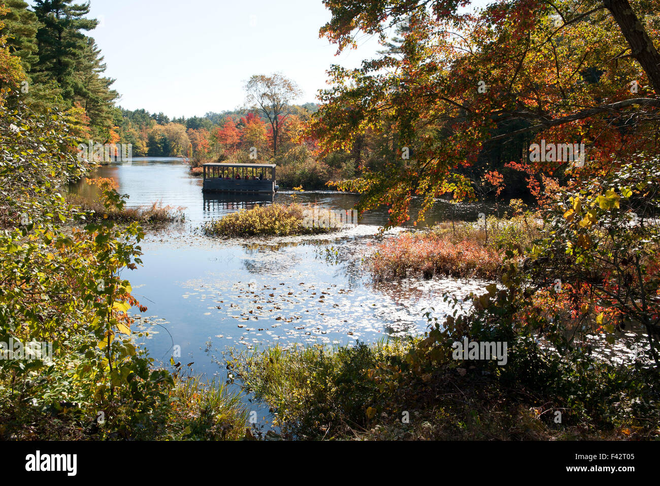 Tranquil lake scene Stock Photo - Alamy