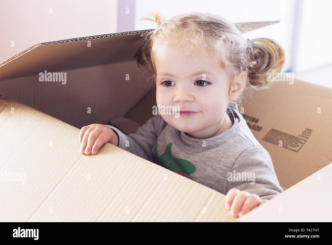 Little girl playing in cardboard box Stock Photo - Alamy