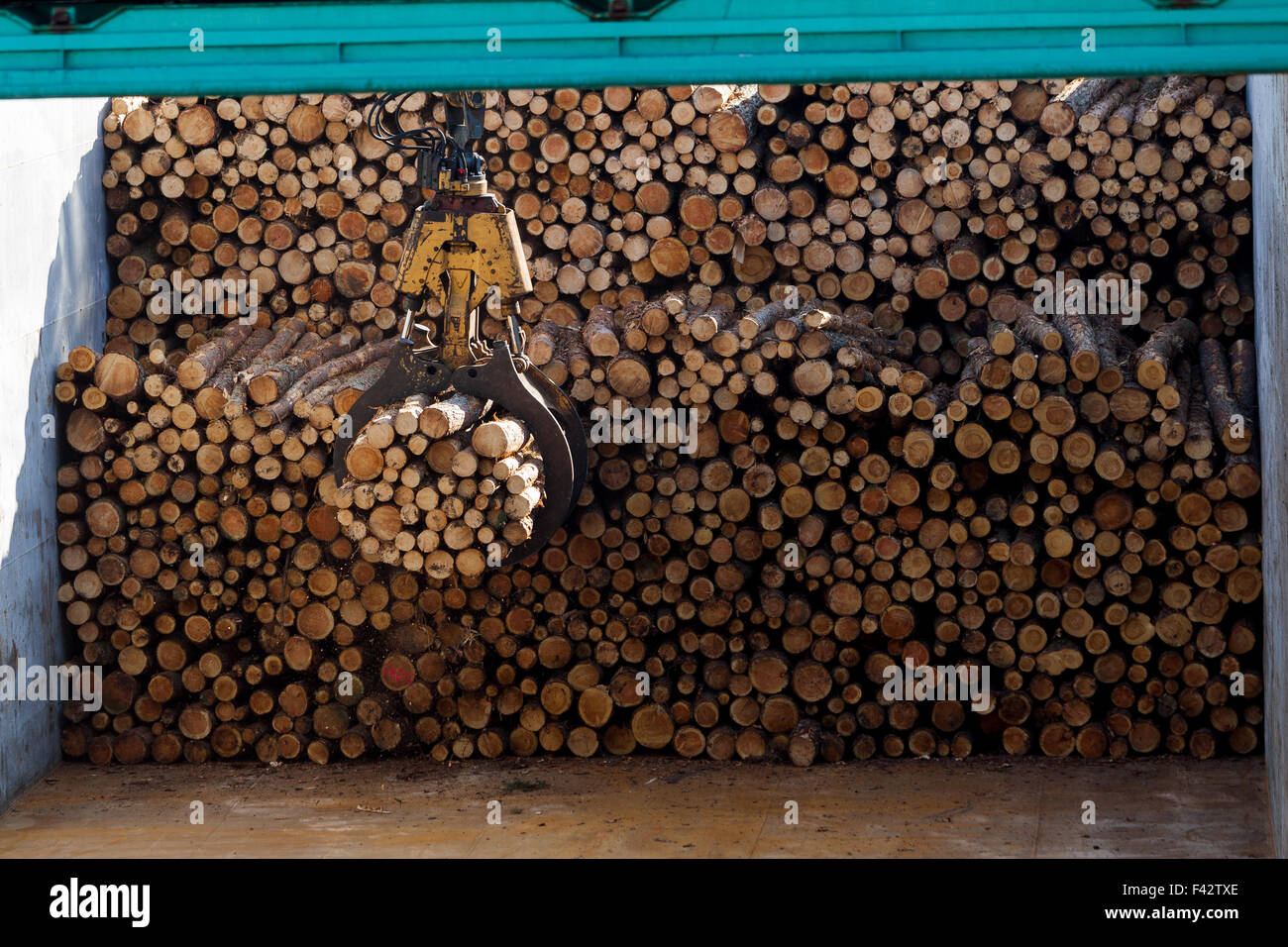 Logging Industry Loading fresh timber into ships cargo hold. Montrose ...