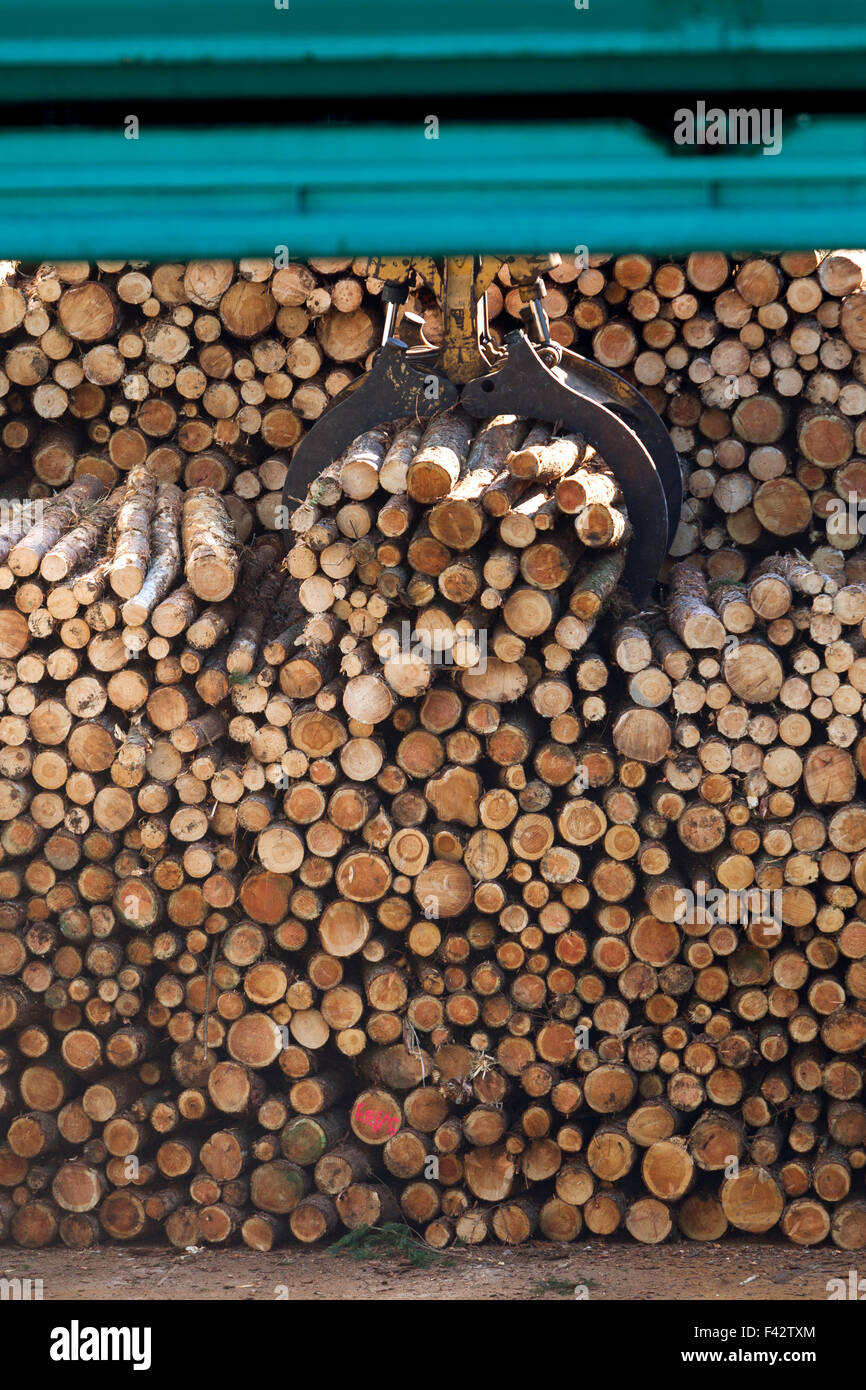 Timber carrier hi-res stock photography and images - Alamy