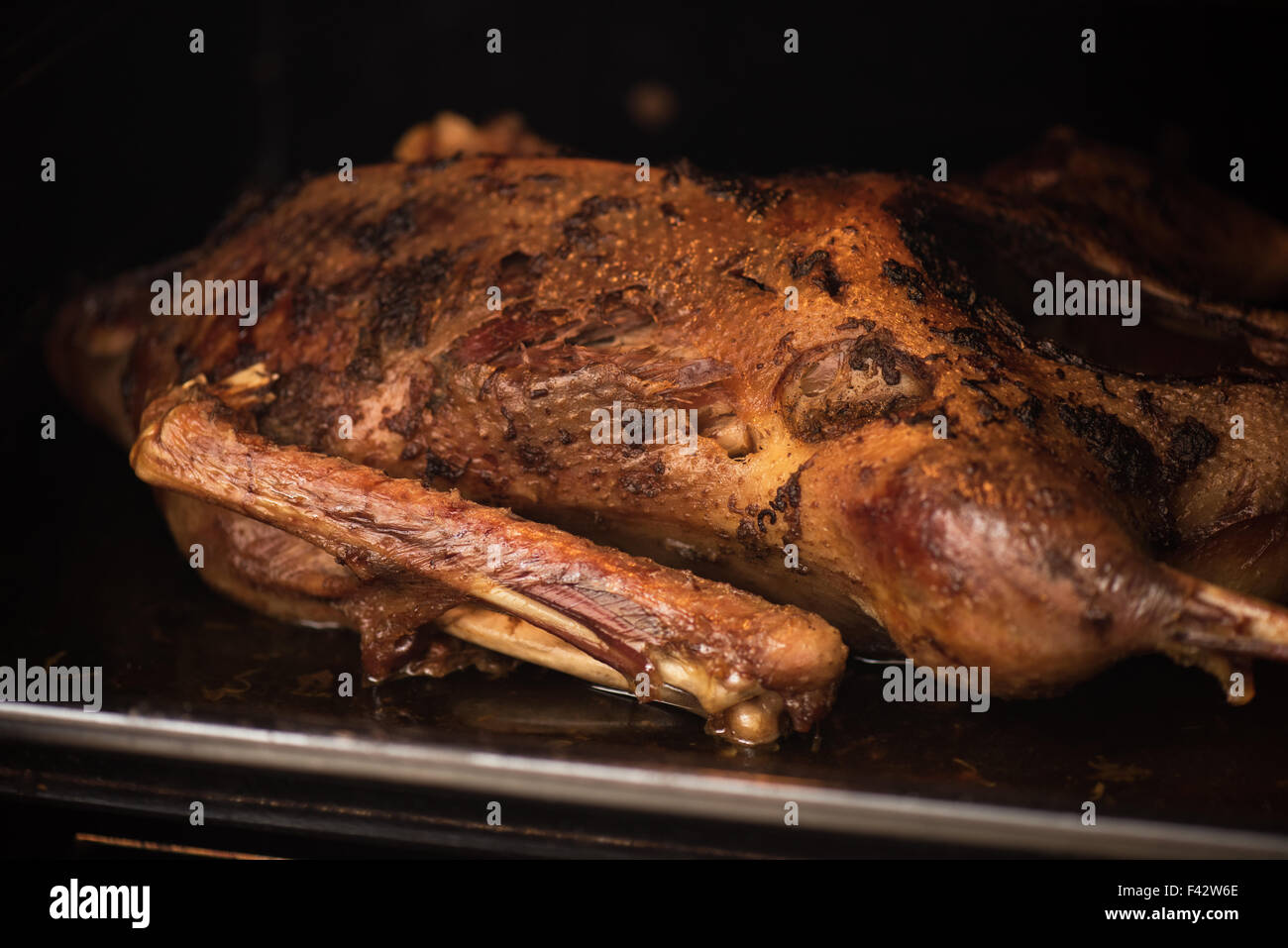 Roasted goose cooked in oven hi-res stock photography and images - Alamy